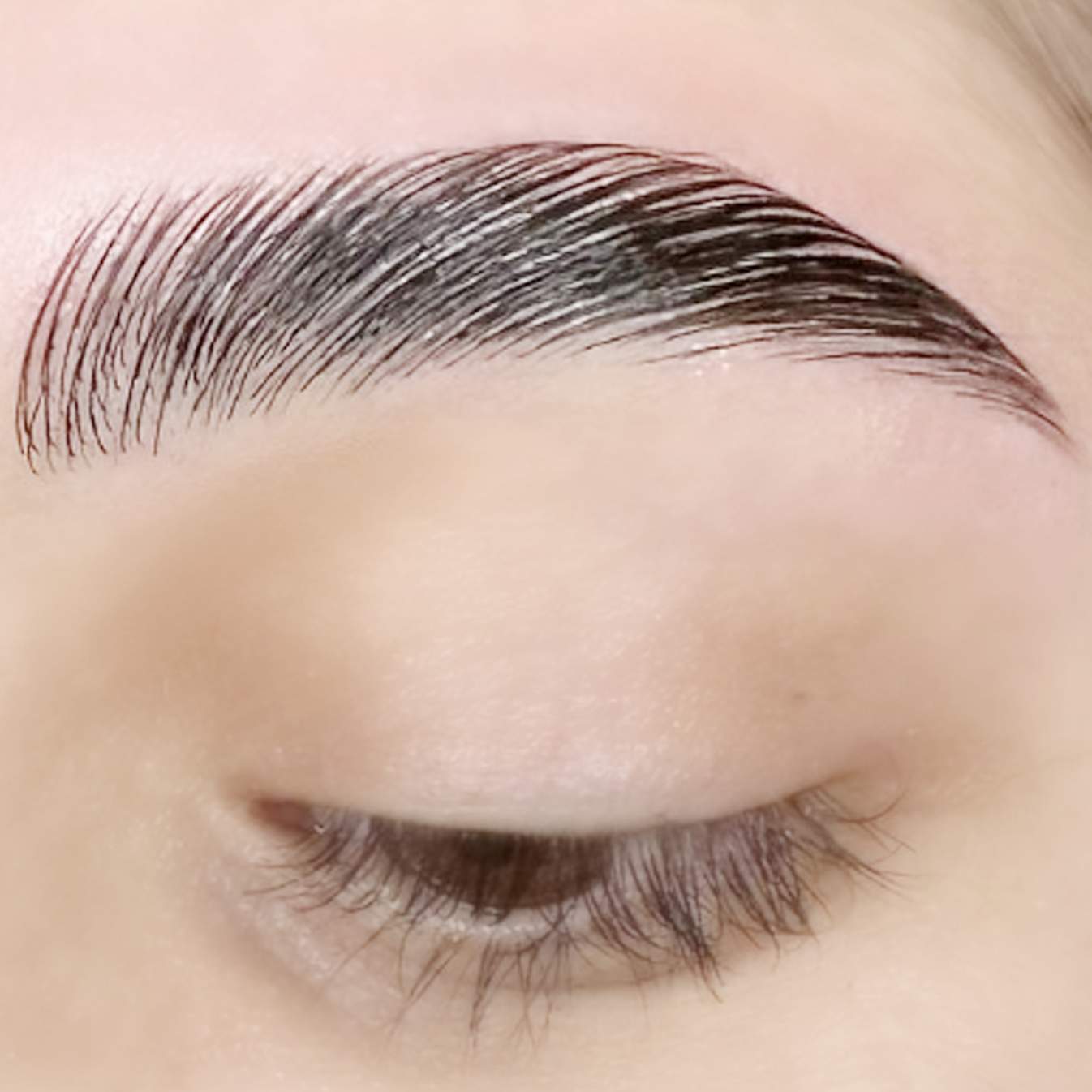 Brow Lamination Kit | groomed and on-trend eyebrows! – Clione Prime